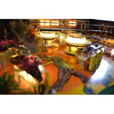 Spring Break Pinball Machine - Elite Home Gamerooms