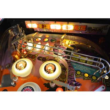Spring Break Pinball Machine - Elite Home Gamerooms