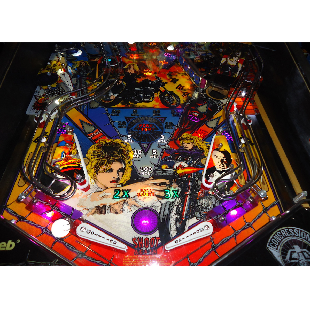 Barb Wire Pinball Machine - Elite Home Gamerooms