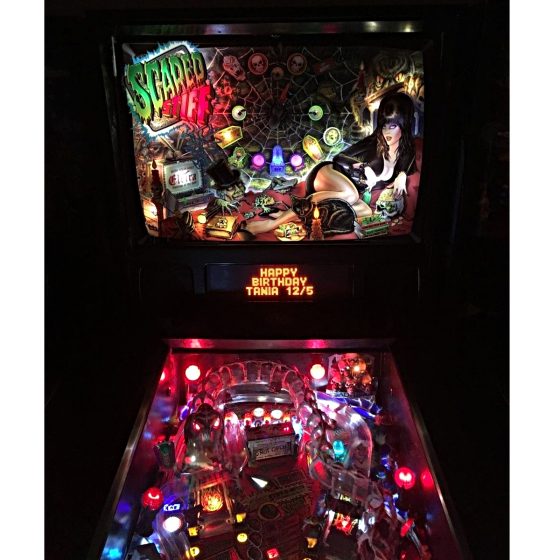 Scared Stiff Pinball Machine - Elite Home Gamerooms