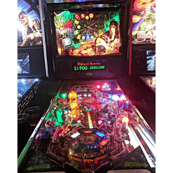 Scared Stiff Pinball Machine - Elite Home Gamerooms